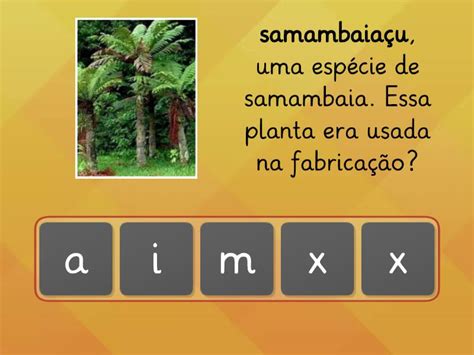 Pteridofitas Importancia Anagram