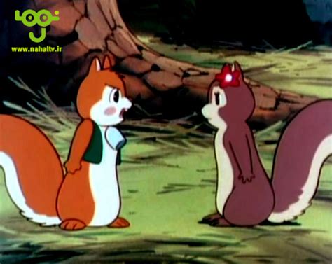 بنر سنجاب کوچولو شبکه نهال