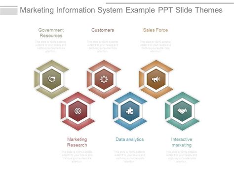Marketing Information System Example Ppt Slide Themes