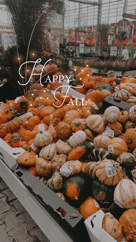 Insta Story Fall Herbst Bilder Herbst Halloween Herbst Dekoration