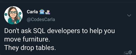 sql developers r programmerhumor