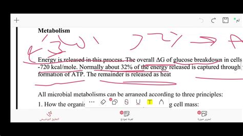 Microbiology Lec6 Youtube