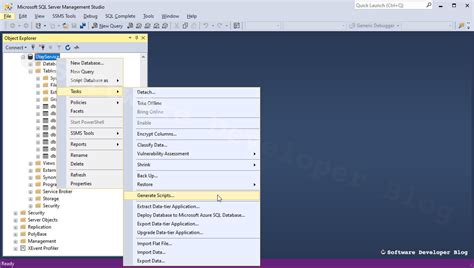 Initialize Ms Sql In Docker Container Create Database At Startup