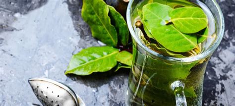 Сварете ябълка с дафинов лист и ще забравите за аптеките Фантастично домашно средство