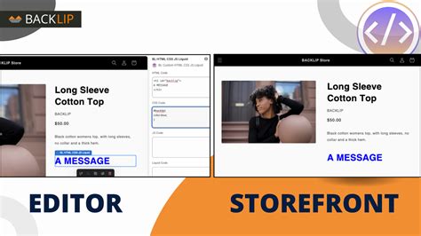 Bl Custom Html Css Js Liquid Embed Html Css Js And Liquid—no Theme