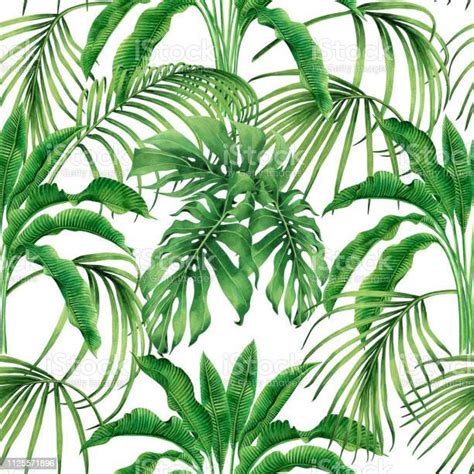수채화 그림 코코넛 바나나 야 자 잎 녹색 나뭇잎 원활한 패턴 배경 수채화 손으로 그린 그림 열 대 이국적인 잎 인쇄 벽지 섬유 하와이 대 한 알로하 정글 스타일 0명에