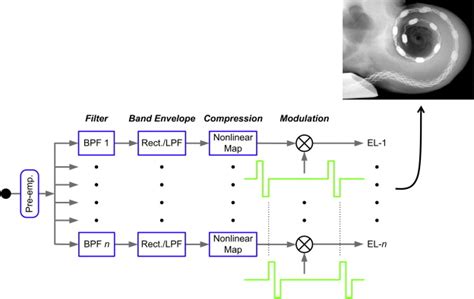 Block Diagram Of The Continuous Interleaved Sampling Cis Processing Download Scientific