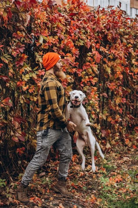 B73 Bcc68 A1 Dc 40 B2 9 C77 Cd4753636 Ac9 — Postimages