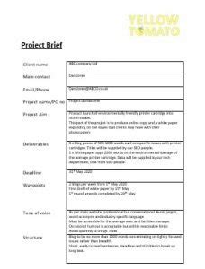Your Free Example Project Brief