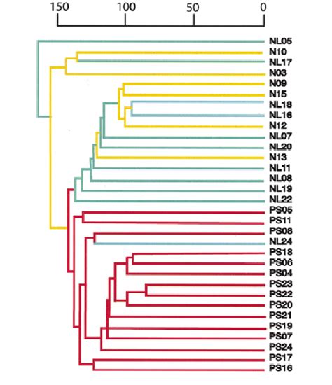 Hierarchical Average Linkage Tree Constructed On The Basis Of Pairwise