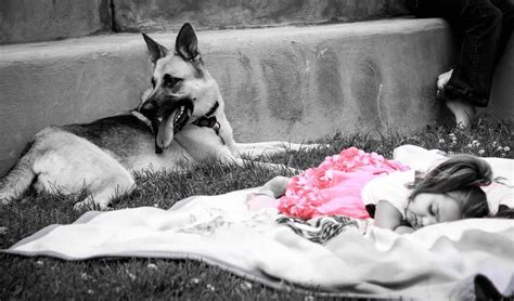 Bella Watching Over Her Tiny Human Scrolller Bella Watching Over Her Tiny Human Scrolller