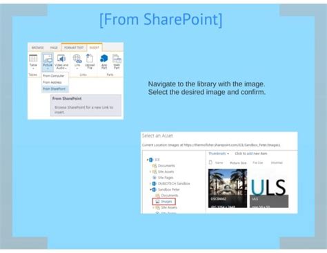 SharePoint Lesson Add A WebPart Page And Content Sharepoint Lesson Ads
