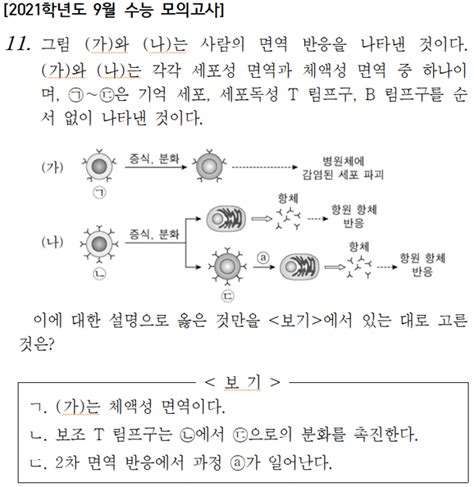 세포 독성t세포의 분화 지식in