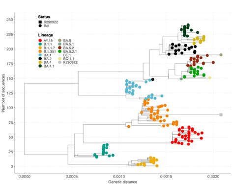 Detection Of A Sars Cov 2 Beta Like Variant With Additional Mutations