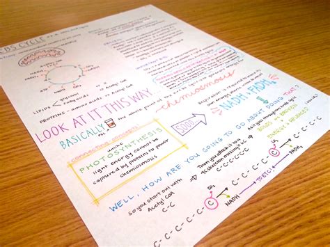 Lets Struggle Together Krebs Cycle I Love Making These Summary Sheets