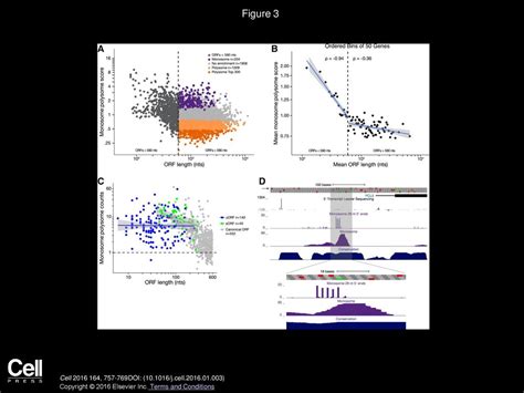 Redefining The Translational Status Of 80s Monosomes Ppt Download