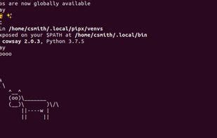 Conda Alternatives Top Package Managers Similar Apps Alternativeto