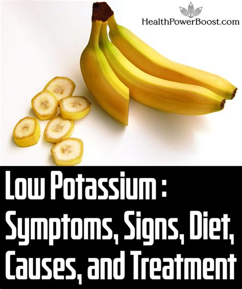 Oils Low In Potassium At Jake Burdekin Blog