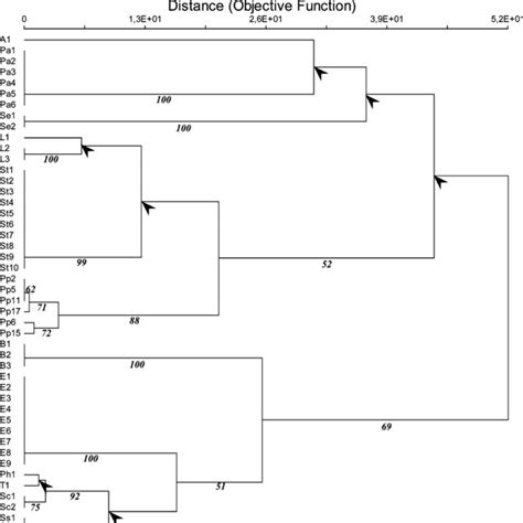 clustering analysis including all variables with euclidean distance