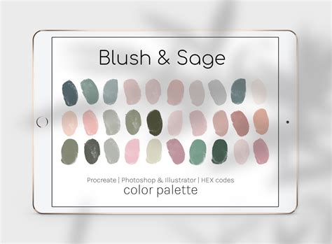 Blush And Sage Color Palette Graphic By Thedigitaldoodle · Creative Fabrica