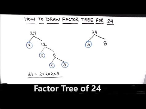 Factor Tree Of 13prime Factor Tree Youtube Worksheets Library