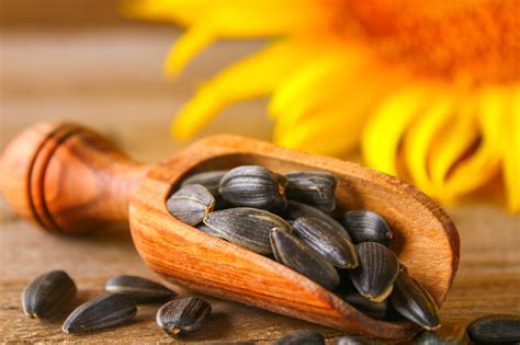 해바라기 오일 그리고 전통적인 소박한 나무 배경에 작은 자루에 해바라기 씨 유기농 및 친환경 식품 개념입니다 건강 식품 및 지방 0명에 대한 스톡 사진 및 기타 이미지