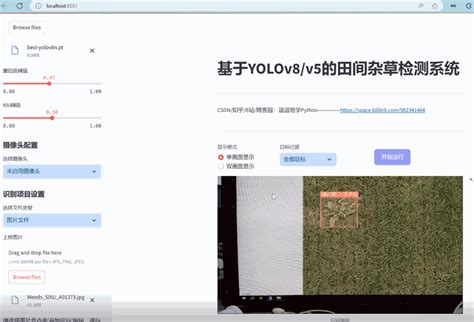 基于深度学习的田间杂草检测系统（网页版 yolov8 v7 v6 v5代码 训练数据集） 大豆杂草识别数据集 csdn博客