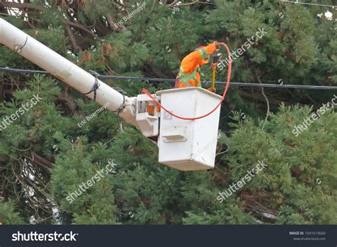 Tree Trimming Power Lines Images Stock Photos Vectors Shutterstock