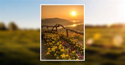 Imogene Mcadams Fox Obituary June Jordan Funeral Home