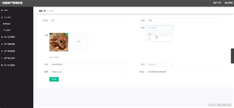Nodevue毕设校园资产管理系统（程序mysqlexpress） Csdn博客