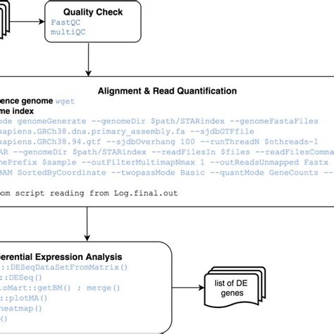Rna Seq Analysis Workflow Download Scientific Diagram