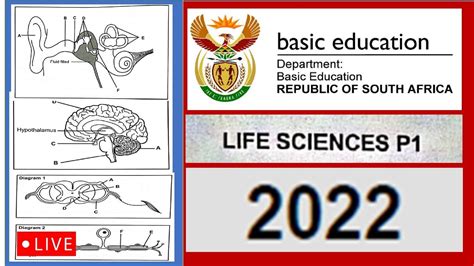 Grade 11 Life Science Past Papers