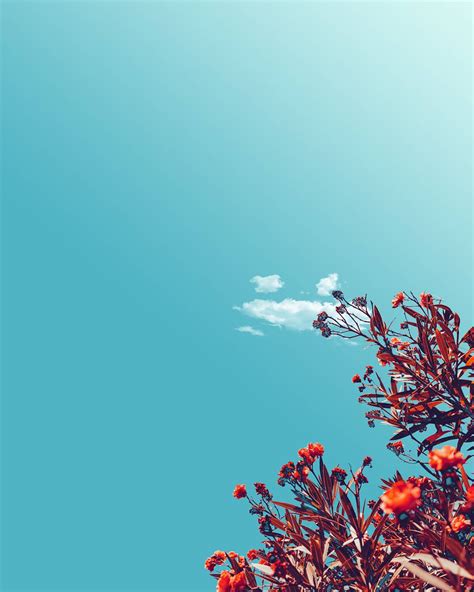 자연의 그라데이션과 건축의 아름다운 조화