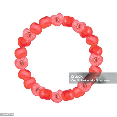 손으로 그린 수채화 잘 익은 체리 화환 프레임 테두리는 흰색 배경에 고립되어 있습니다 엽서 초대장 스크랩북 및 기타 인쇄물에 사용할 수 있습니다 0명에 대한 스톡 벡터 아트