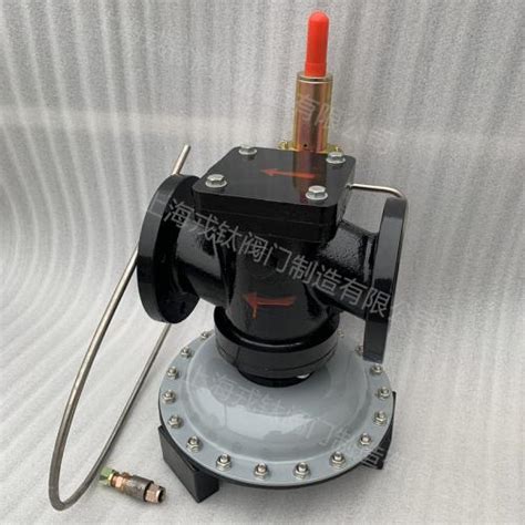 燃气调压器 RTJ 52 50GK 上海戎钛阀门制造有限公司 新能源网