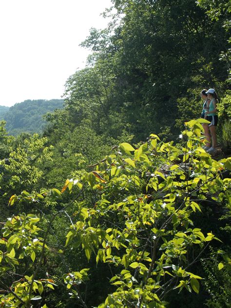 Castlewood State Park Missouri State Parks