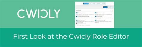 First Look At The Cwicly Role Editor Webtng