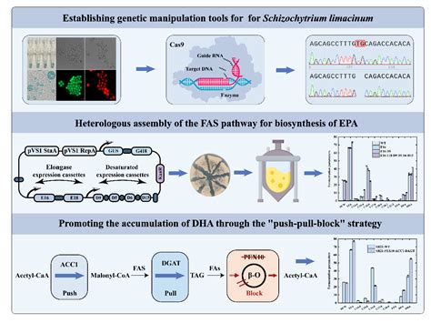形象标识 中国科学院天津工业生物技术研究所