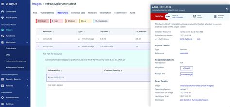 New Zero Day Rce Vulnerability Spring4shell Aquasec