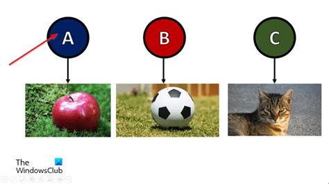 make text images objects appear one by one in powerpoint