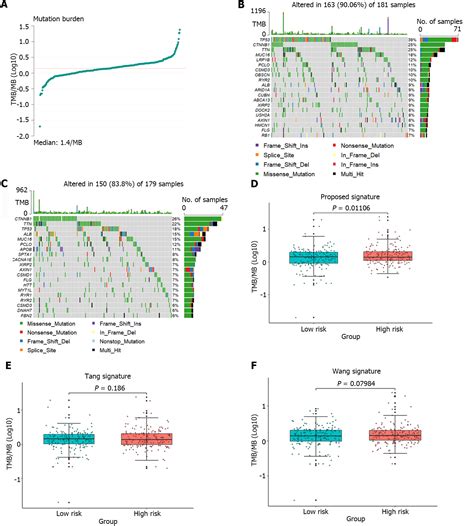 Identification Of An Immune Related Gene Signature For Predicting