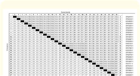 Nuclotide Sequence Distance Analysis Of E Coli Trat Virulence Gene