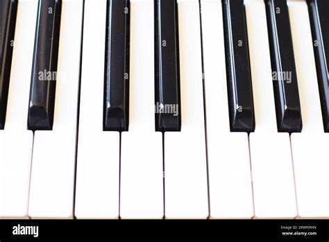 Synthesizer Keys Black And White Background With Copy Space For Your Text Piano Octave Close Up