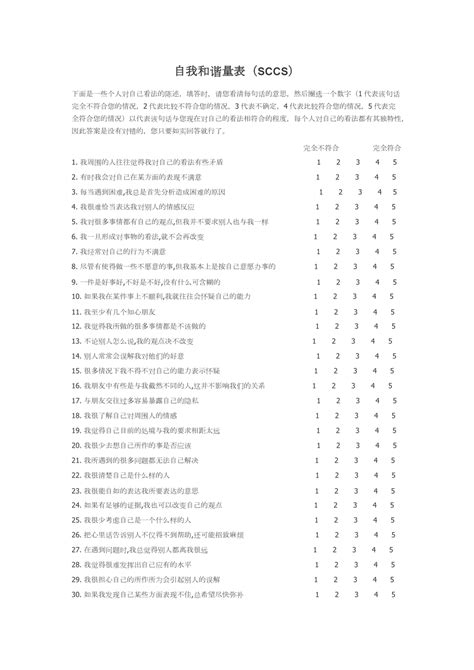 自我和谐量表 Sccs