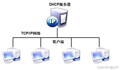 dhcp原理与配置 dhcp默认租约时间 csdn博客