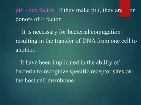 Bacterial Cell Structure And Function Ppt