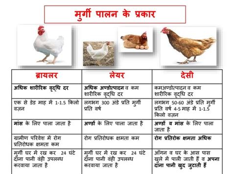 Poultry Farming Ppt In Hindi Murgi Palan Pptx Hinduism Religion And Spirituality