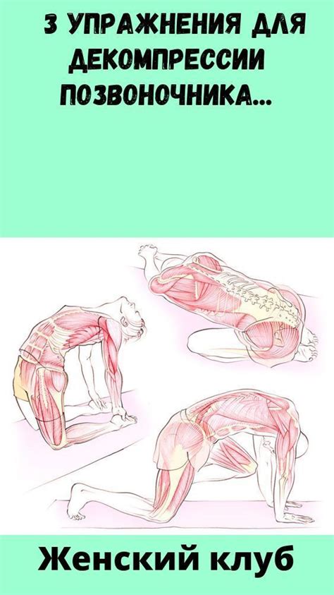 3 упражнения для декомпрессии позвоночника Упражнения Упражнения для шеи Быстрые тренировки