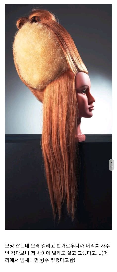 강한자들만 살아남았던 로코코 시대 헤어스타일 안쪽 모습 악플달면 쩌리쩌려버려 ＊여성시대＊ 차분한 20대들의 알흠다운 공간