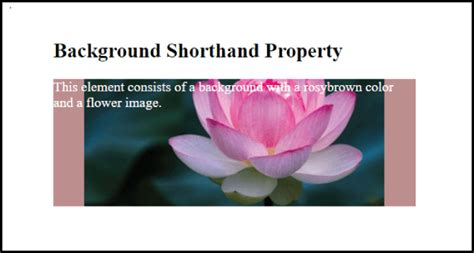 Shorthand Property In Css Tpoint Tech